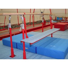 Parallel bars - coaching platform