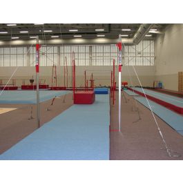 Height adjustable training high bar