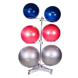 Mobile Gym Ball Rack