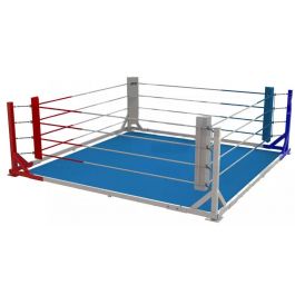 Floor mounted boxing ring