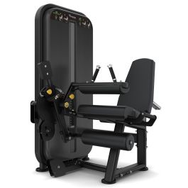 Vision Strength - Leg Extension / Leg Curl