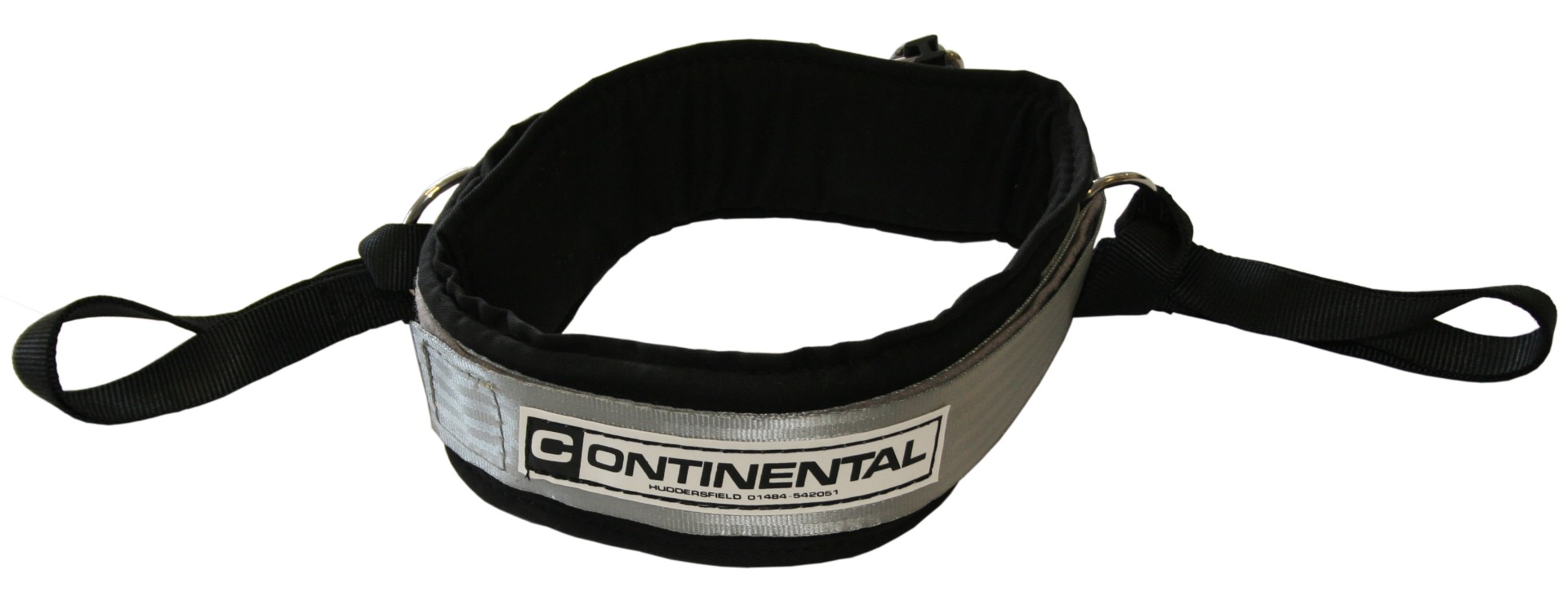 Trampoline spotting rig