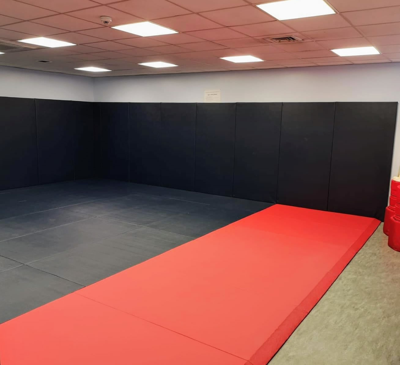 Rebound therapy trampoline rooms